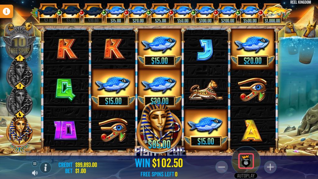 Fish Eye (RTP 96.07 % | Pragmatic Play) Slot Review - GMBLRS.COM